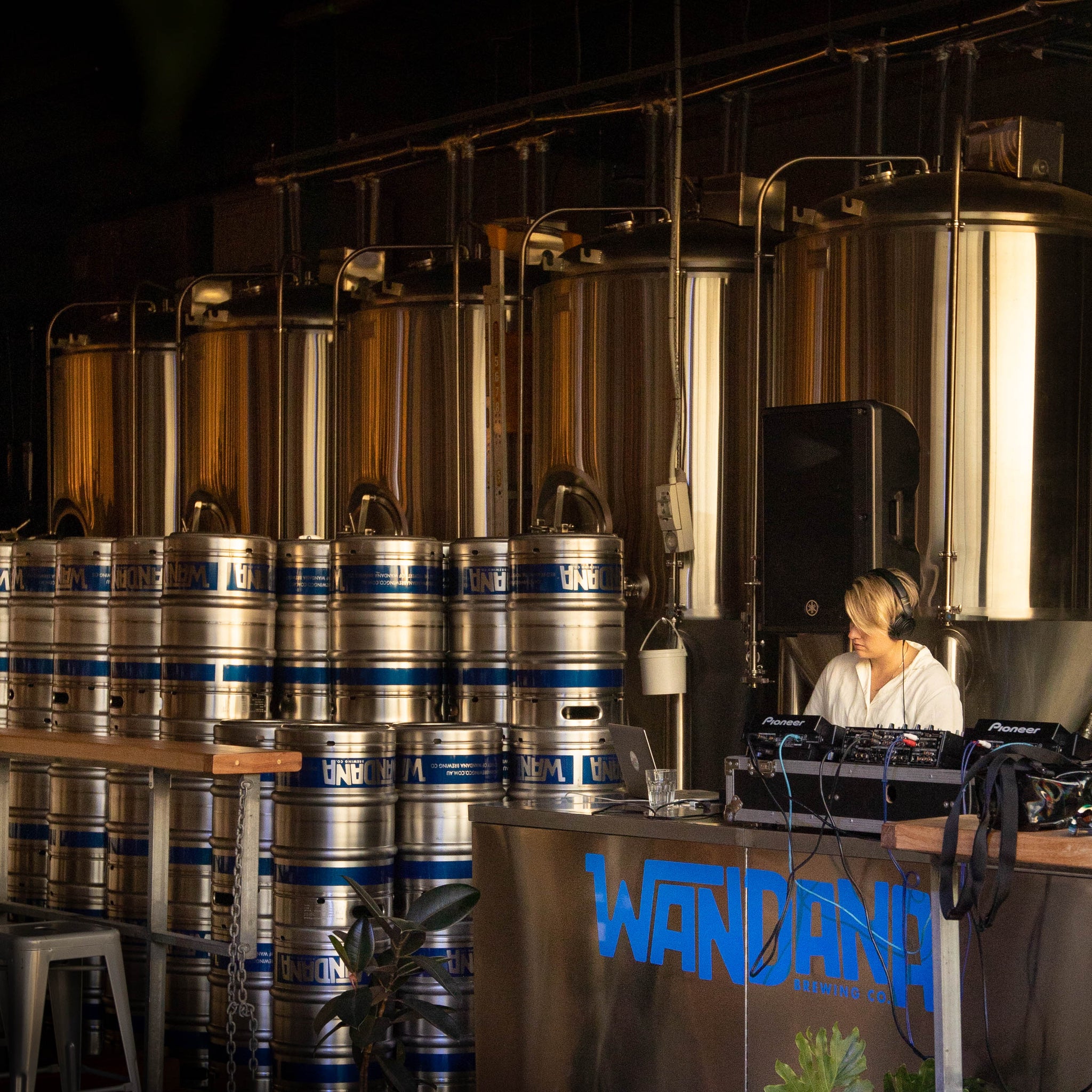 Wandana Brewing Co. | Craft Brewery in Mullumbimby | Byron Hinterland