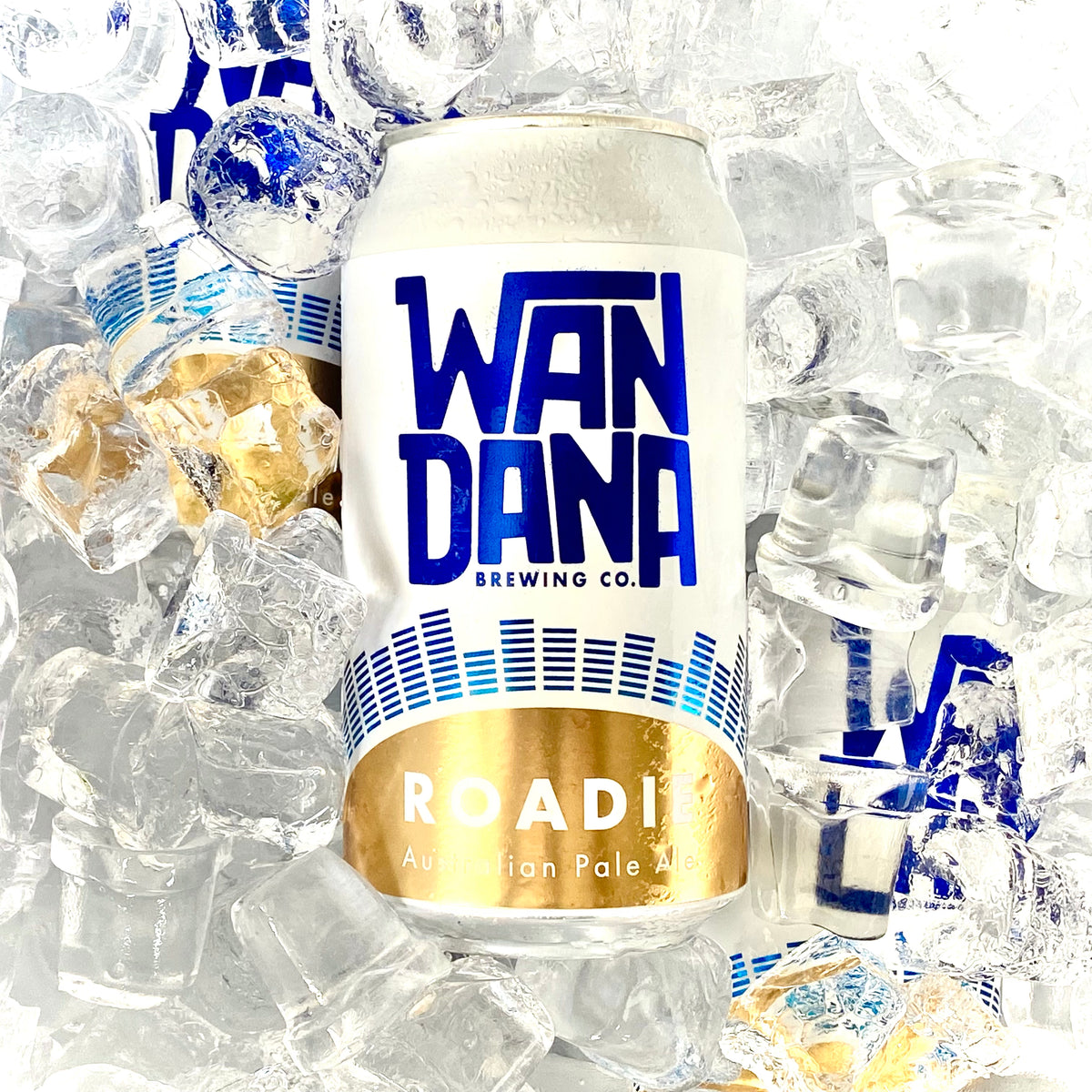 ROADIE Pale Ale – Wandana Brewing Co.